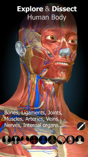 Download Anatomy Learning - 3D Anatomy for Android & iOS - Mobexer