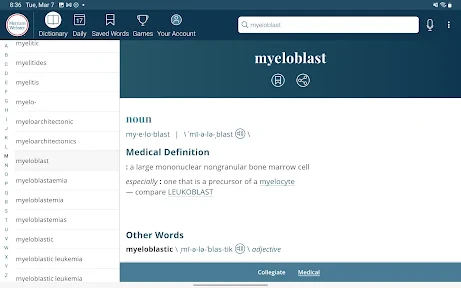 Download Dictionary - Merriam-Webster for Android & iOS - Mobexer