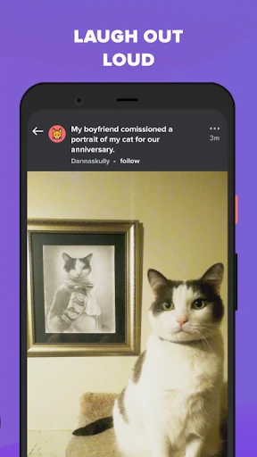 Download Imgur: Funny Memes & GIF Maker for Android & iOS - Mobexer