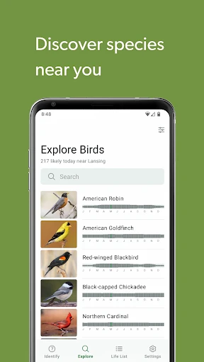 Download Merlin Bird ID by Cornell Lab for Android & iOS - Mobexer