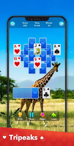 Download Solitaire Collection for Android & iOS - Mobexer