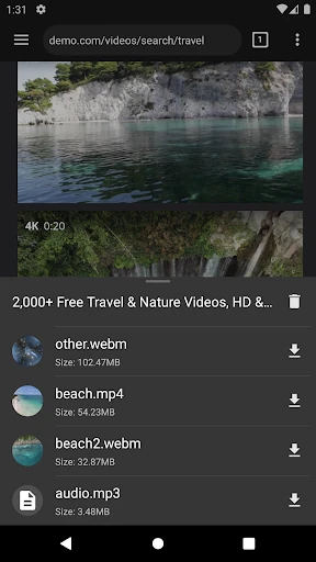 Download Video Downloader Pro for Android & iOS - Mobexer